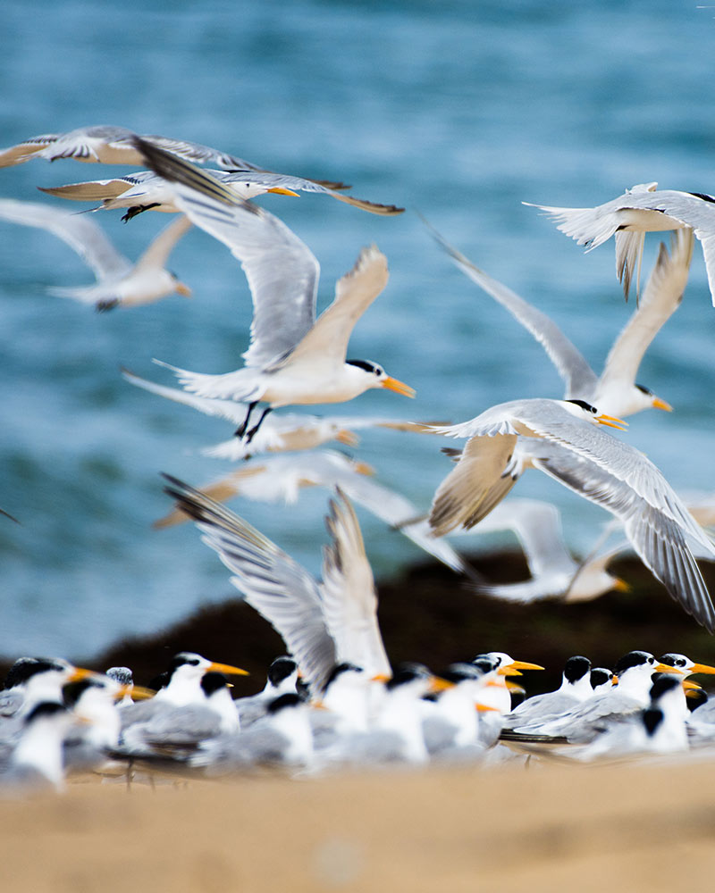 Unique Experiences in Chilaw, Sri Lanka | Love Sri Lanka