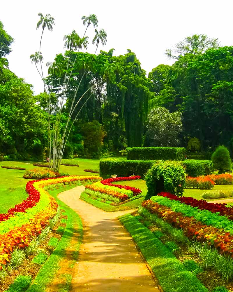 3 Gardens You Must Visit in Sri Lanka | Love Sri Lanka 3 Gardens You Must Visit in Sri Lanka | Love Sri Lanka