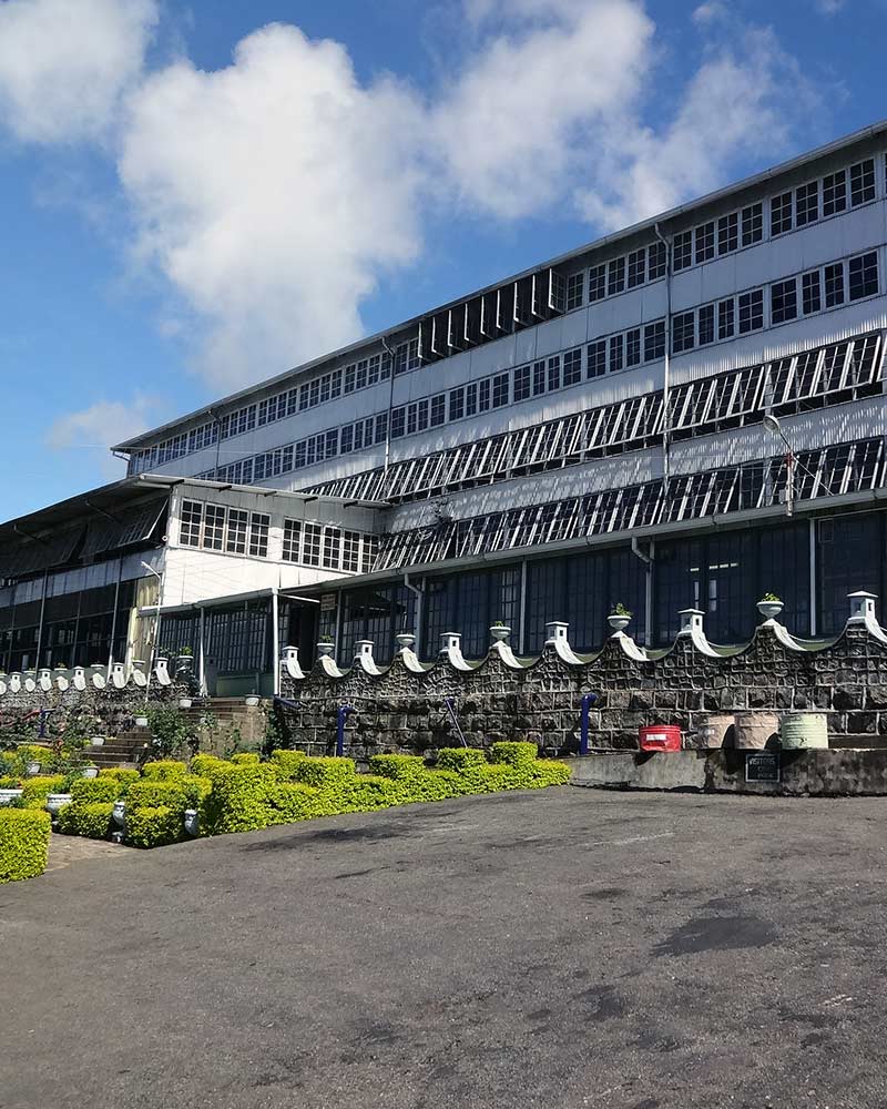 Dambatenne Tea Factory | Attractions in Haputale | Love Sri Lanka