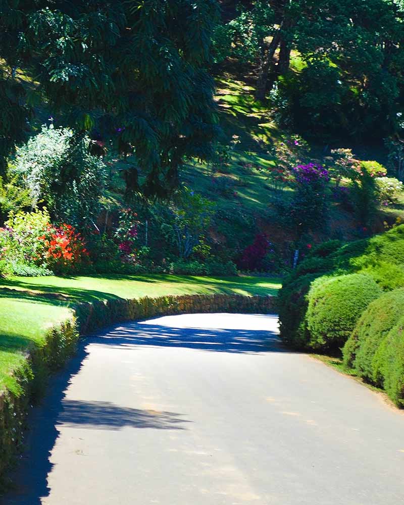 Hakgala Botanical Garden | Attractions in Hatton | Love Sri Lanka