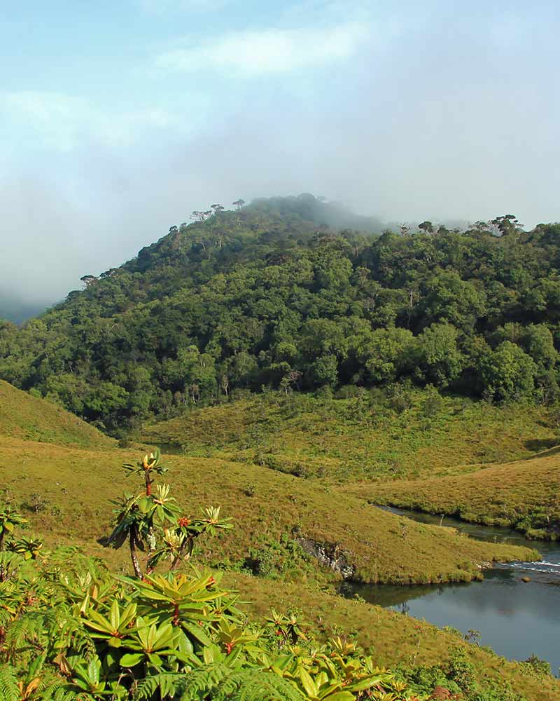 Horton Plains National Park | Attractions in Hatton | Love Sri Lanka