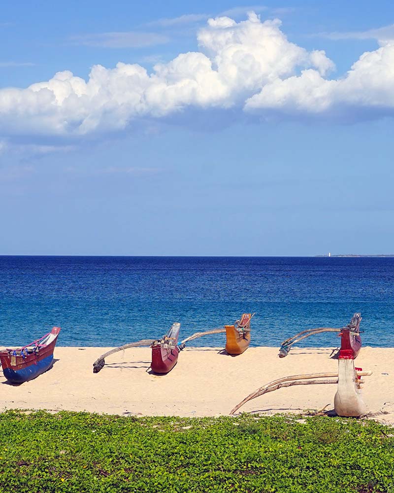What you must do in Trincomalee before you leave | Love Sri Lanka