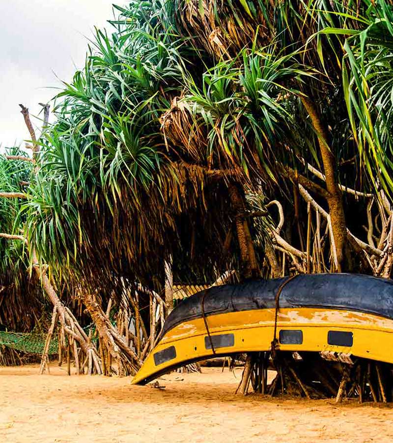 Tourist Attractions, Events, Things to do in Kalutara, Sri Lanka | Love ...