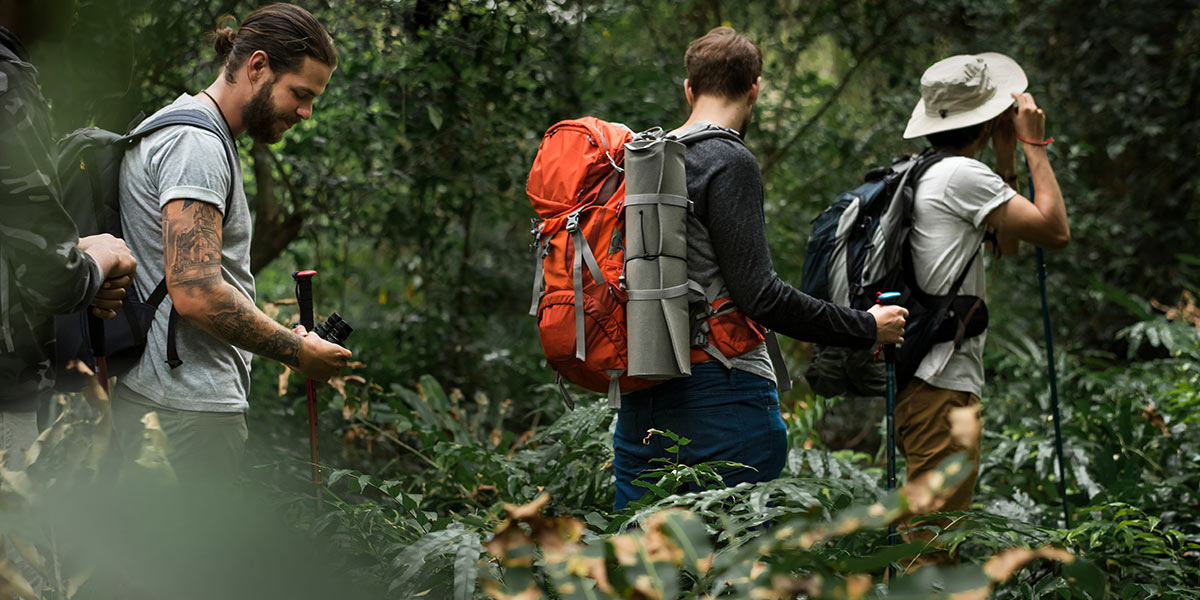 Discover the Forests of Sri Lanka - Love Sri Lanka